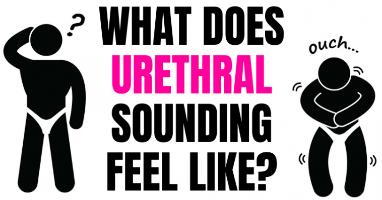Urethral Sounding Guide Selv Nybegynnere Vil Forstå | be settled